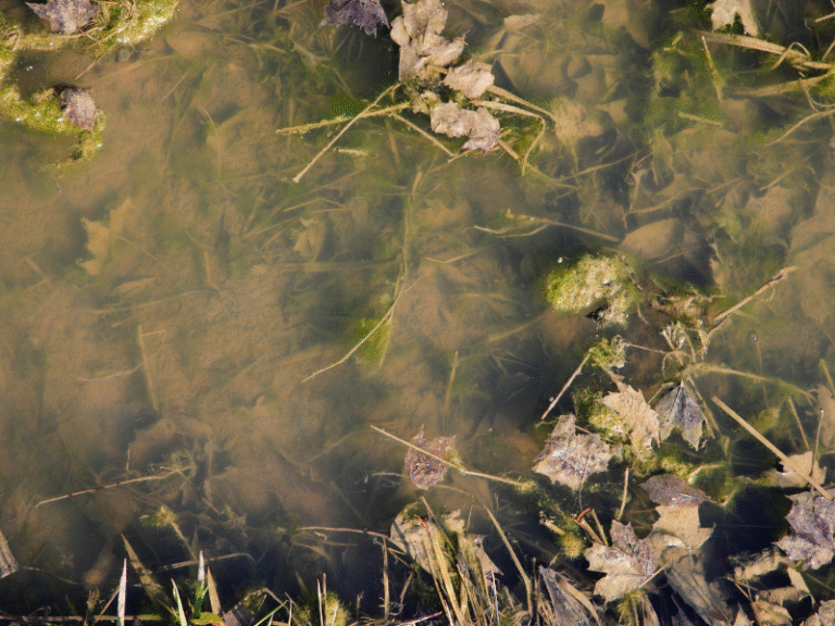 What is Stagnant Water? | Metro Rod